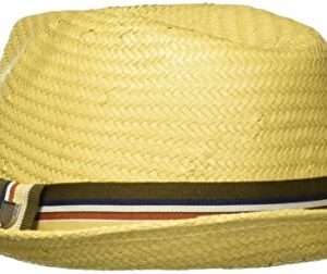 Brixton mens Castor Straw Hat Fedora, Tan, X-Large US