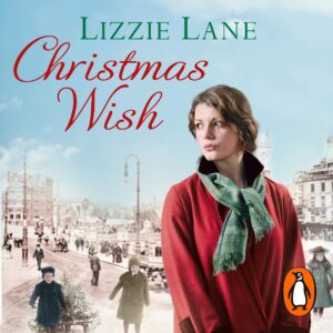 a christmas wish