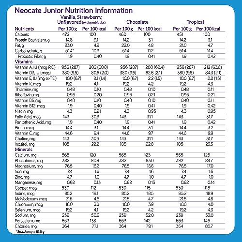 Neocate Junior - Powdered Hypoallergenic, Amino Acid-Based Toddler and Junior Formula - Strawberry - 14.1 Oz Can (Case of 4)