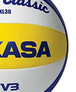 Mikasa Beach Classic 10 Panel Ball