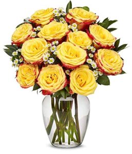 from you flowers - one dozen festive roses with glass vase (fresh flowers) birthday, anniversary, get well, sympathy, congratulations, thank you