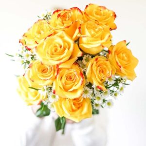 From You Flowers - One Dozen Festive Roses with Glass Vase (Fresh Flowers) Birthday, Anniversary, Get Well, Sympathy, Congratulations, Thank You