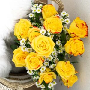 From You Flowers - One Dozen Festive Roses with Glass Vase (Fresh Flowers) Birthday, Anniversary, Get Well, Sympathy, Congratulations, Thank You