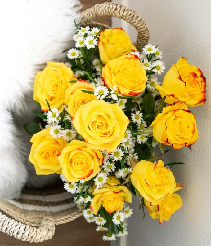 From You Flowers - One Dozen Festive Roses with Glass Vase (Fresh Flowers) Birthday, Anniversary, Get Well, Sympathy, Congratulations, Thank You