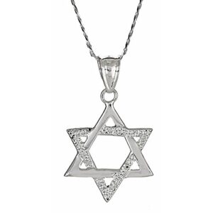 better jewelry .925 sterling silver magen david jewish star of david small pendant w. chain