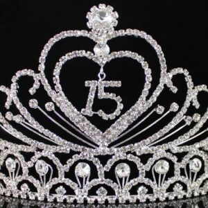 Janefashions Quinceanera Sweet 15 Fifteen 15th Birthday Party coronas de quinceañeras Clear White Austrian Rhinestone Tiara Crown with Hair Combs Princess Gold Silver T1756 (Silver With Combs)