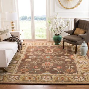 safavieh anatolia collection area rug - 9' x 12', brown & gold, handmade traditional oriental wool, ideal for high traffic areas in living room, bedroom (an562a)