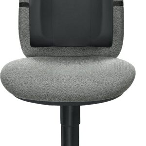 Fellowes 91905 Backrest High Profile 13-Inch x4-Inch x12-Inch Black