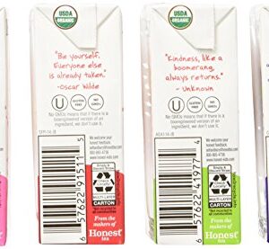 Honest Kids Organic Fruit Juice Drink Boxes, Assorted Flavors, 329.34 oz