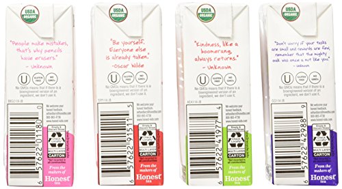 Honest Kids Organic Fruit Juice Drink Boxes, Assorted Flavors, 329.34 oz