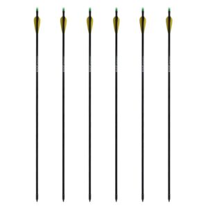 e5e10 12Pcs Fiberglass Arrows 31" Target Practice Arrows with Black and Yellow Fletches Unchangeable Sealed Tips for Recurve and Compound Bow Hunting Gift