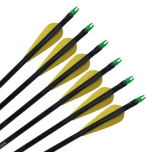 e5e10 12Pcs Fiberglass Arrows 31" Target Practice Arrows with Black and Yellow Fletches Unchangeable Sealed Tips for Recurve and Compound Bow Hunting Gift