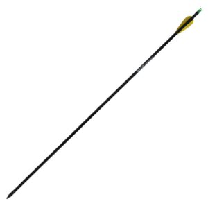 e5e10 12Pcs Fiberglass Arrows 31" Target Practice Arrows with Black and Yellow Fletches Unchangeable Sealed Tips for Recurve and Compound Bow Hunting Gift