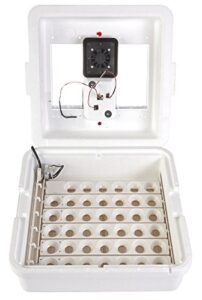 little giant® digital circulated air incubator with automatic turner | 41 eggs | egg incubator with fan and egg turner