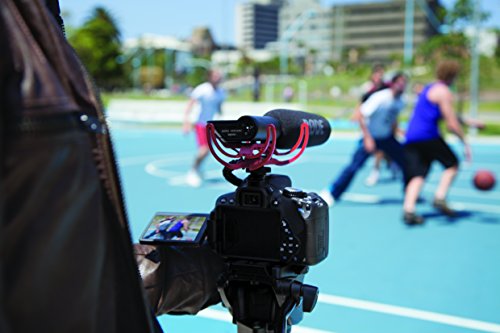 Rode VideoMic Microphone Pack with Rycote Lyre Mount, Boom Pole, Screw Adapter and Extension Cable