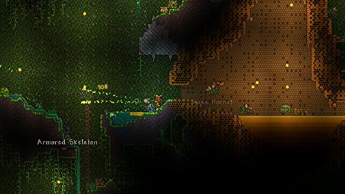 Terraria - PlayStation 4