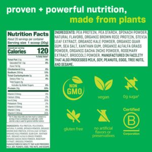 Vega Protein and Greens Protein Powder, Vanilla - 20g Plant Based Protein Plus Veggies, Vegan, Non GMO, Pea Protein for Women and Men, 21.7 Ounce (Packaging May Vary)