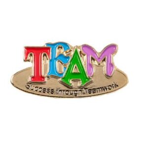 trainers warehouse success through teamwork lapel pins, great for educational and team building (10/set)