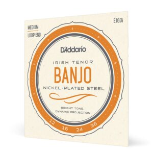 d'addario ej63i 12-36 nickel irish tenor banjo string