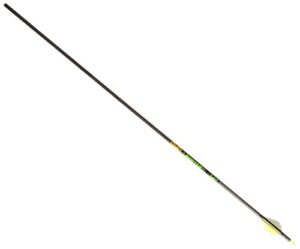 gold tip hunter xt arrows with raptor vane (pack of 6), black, 300