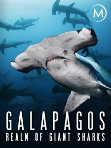 galapagos: realm of giant sharks