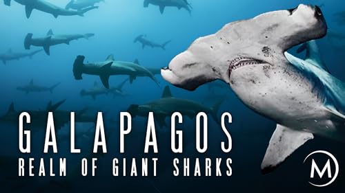 Galapagos: Realm of Giant Sharks