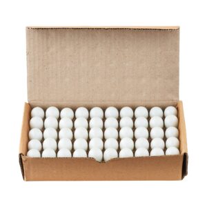 department 56 accessories for villages replacement light bulb (box of 50), white