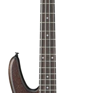 Ibanez 4 String Bass Guitar, Right, Walnut Flat (GSRM20BWNF)