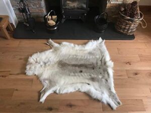 lambland grade a luxury x-large reindeer hide/skin/rug in light shade natural colors