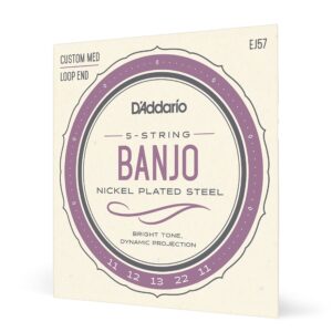 d'addario ej57 nickel 5-string banjo strings, custom medium, 11-22