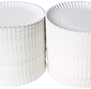 Member Mark Heavy Duty Paper Plates, 9", 600 Count