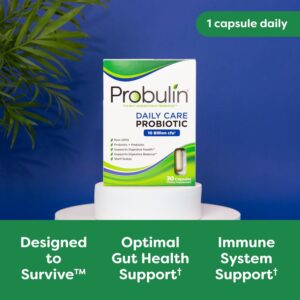 Probulin Daily Care Probiotic, 60 Capsules