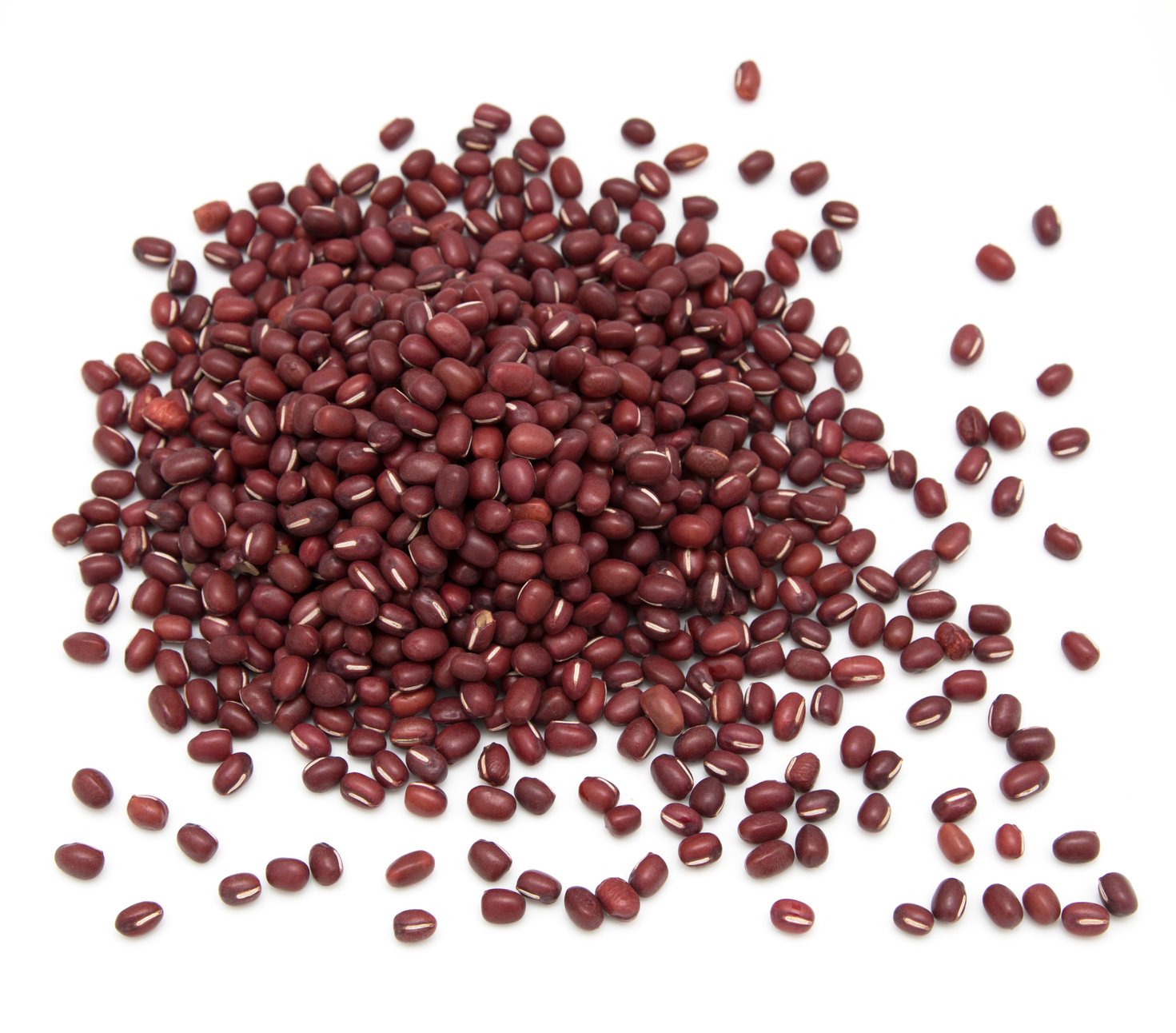 Hunza Organic Adzuki Beans (2 lbs)