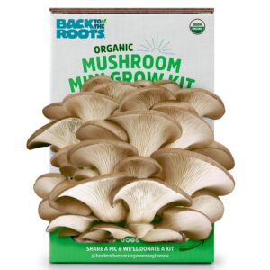 back to the roots organic mini mushroom grow kit, harvest gourmet oyster mushrooms in 10 days, top gardening gift, holiday gift, & unique gift