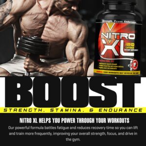 Nitro XL | Nitric Oxide Bodybuilding Supplement – with L-Arginine | Build Muscle Mass – Get Ripped – Boost Performance – Increase Endurance & Stamina – Intensify Your Workout | 120 caps