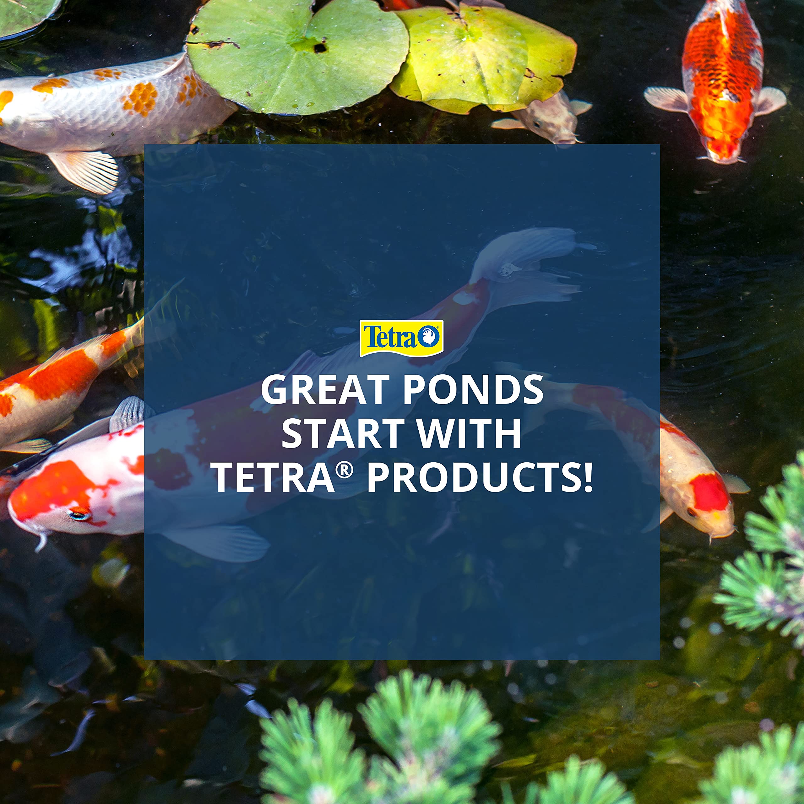 TetraPond Pond PVC Liner, For Ponds Up to 250 Gallons, 7' x 10'