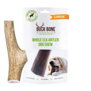 buck bone organics dog chews, elk antlers for dogs, long lasting dog bones for aggressive chewers, all natural, no preservatives, wild shed in the usa (large)