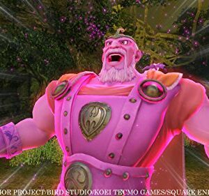 Dragon Quest Heroes: The World Tree's Woe and The Blight Below (PS4)