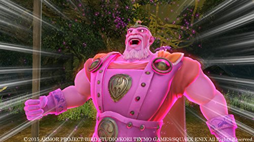 Dragon Quest Heroes: The World Tree's Woe and The Blight Below (PS4)