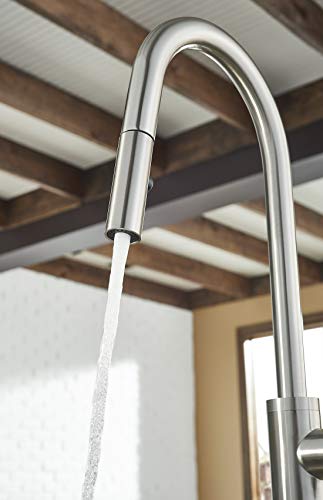 Gerber Plumbing Parma Cafe Pull Down Kitchen Faucet