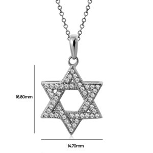 My Daily Styles 925 Sterling Silver Jewish Star of David White CZ Pendant Necklace