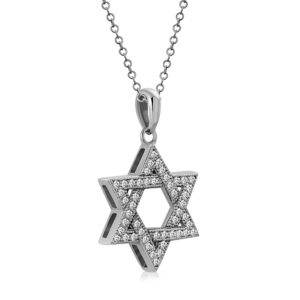 My Daily Styles 925 Sterling Silver Jewish Star of David White CZ Pendant Necklace