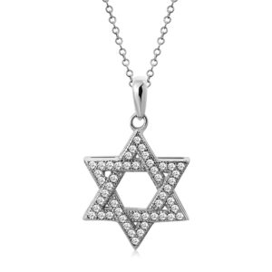 My Daily Styles 925 Sterling Silver Jewish Star of David White CZ Pendant Necklace