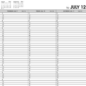 AT-A-GLANCE Weekly Planner/Appointment Book, Academic Year, 14 Months, July 2015–August 2016, 8.25 x 10.88 Inch Page Size (70-957-05)