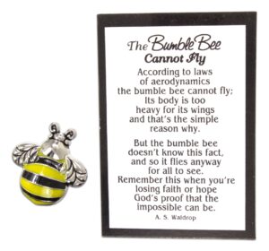 the bumble bee cannot fly pocket token