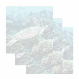 sea turtle sticky notes - set of 3 - wildlife theme design - stationery gift - paper memo pad - office and school supplies