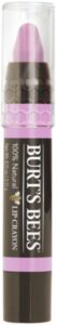 burt's bees lip crayon, carolina coast [423], 0.11 oz (pack of 2)