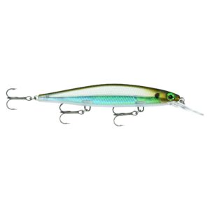 rapala shadow rap deep 11 moss back shiner