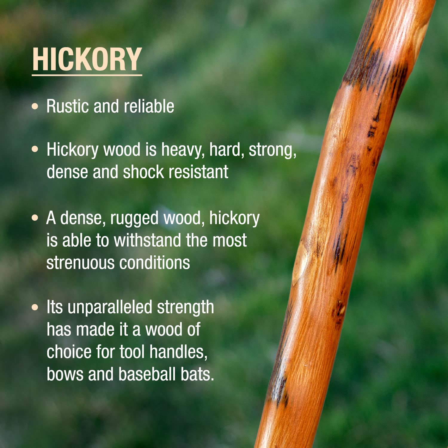 Brazos Rustic Wood Walking Stick, Hickory, Traditional Safari Style Handle, for Men & Women, Made in The USA, 58" Natural