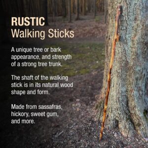 Brazos Rustic Wood Walking Stick, Hickory, Traditional Style Handle, for Men & Women, Made in the USA, 58"